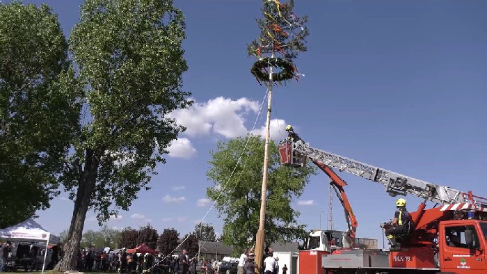 Strasshof a.d. Nordbahn: Maibaumfest 2025 :: TV21 Austria